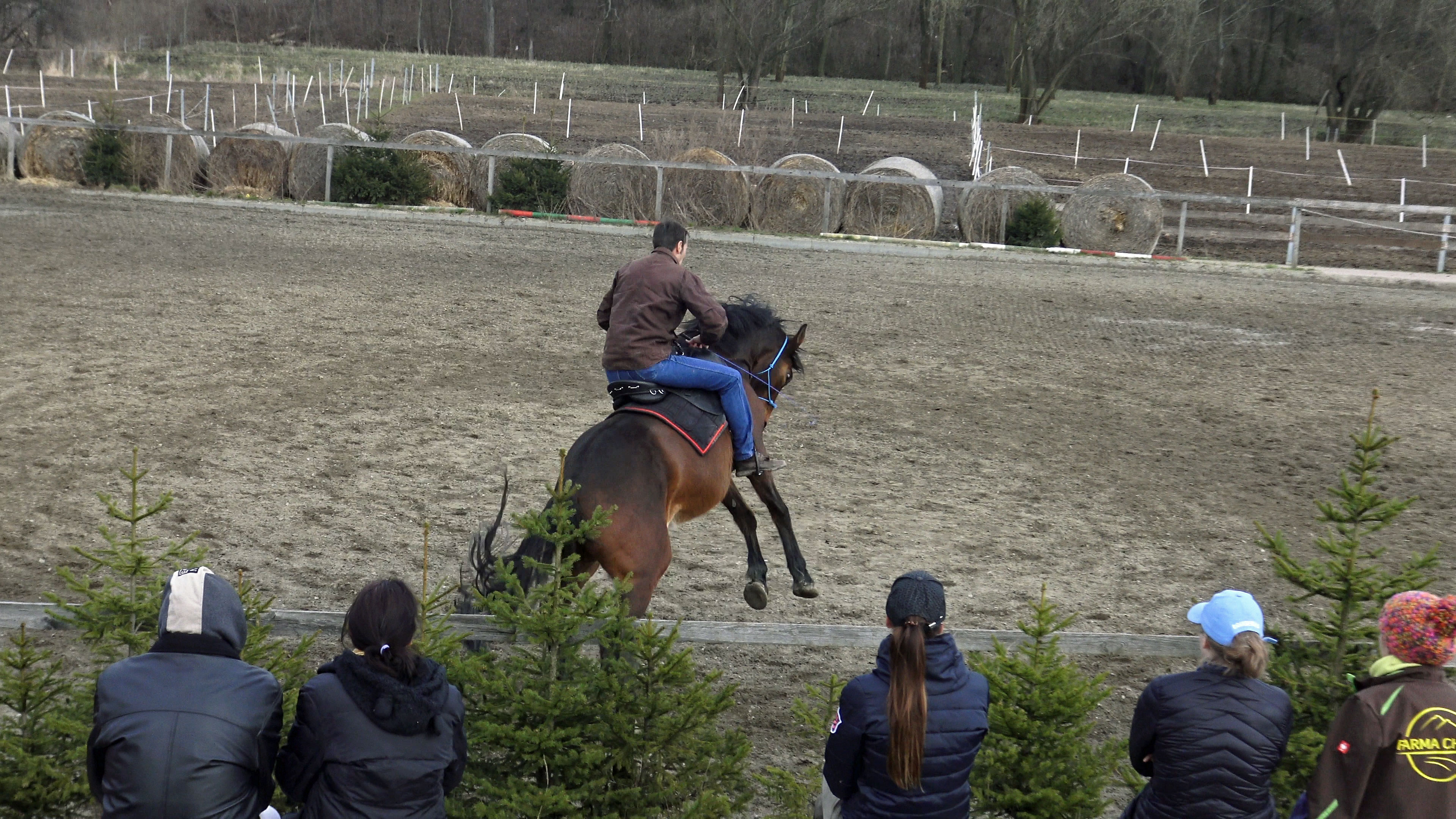 How to correct bucking — Invisible Horse Control
